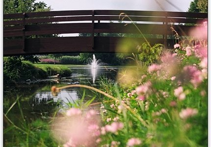 Messiah Lifeways - Mechanicsburg, PA